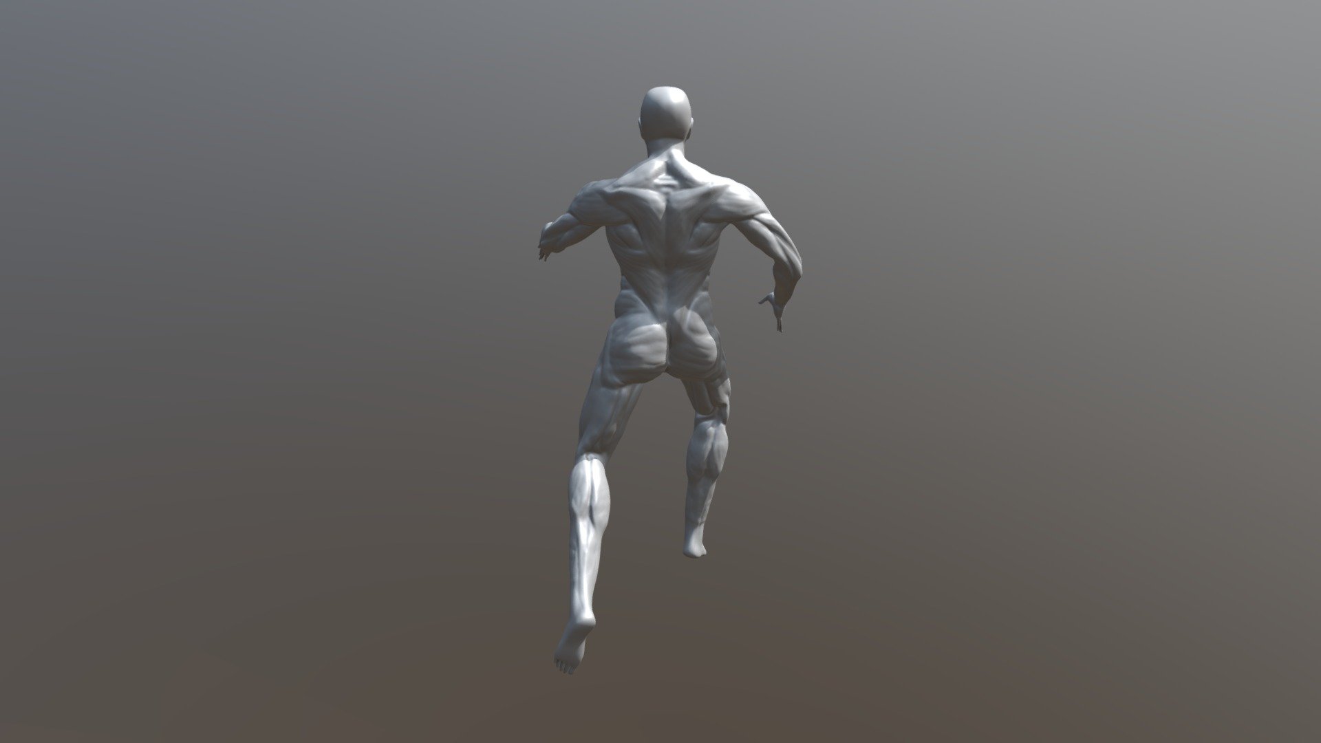 human anatomy pose - 3D model by Kurena [901a126] - Sketchfab