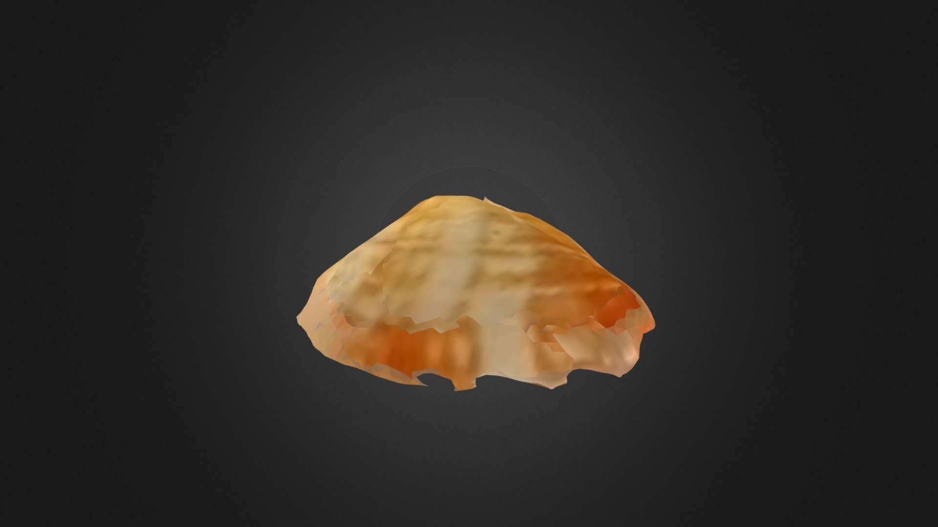 Pitar rudis Poli, 1795 - 3D model by 3D collection (@phanh1711999 ...