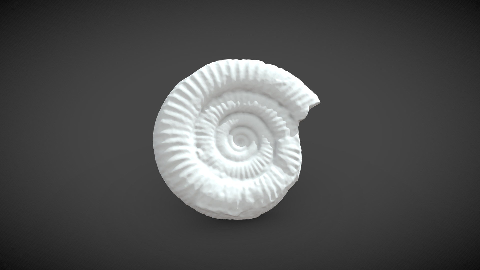 Ammonite - Download Free 3D model by The Amelia (@TheAmelia) [902c0c1 ...