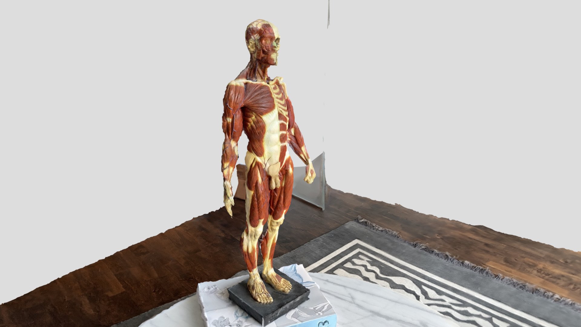 Quick Reality Capture Scan - Download Free 3D model by JoeRaasch ...