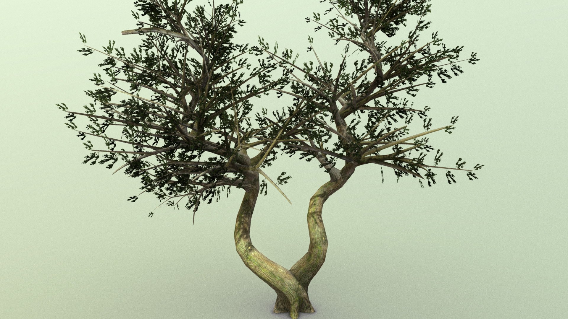 Tree3 - 3D model by Alex791 (@alexcarralero791) [9035396] - Sketchfab