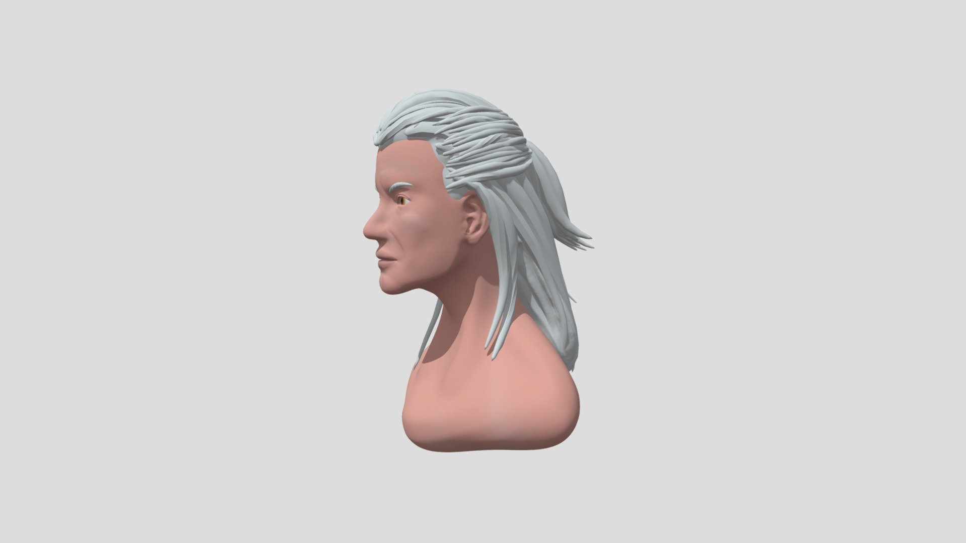 The Witcher - 3D model by firmasyahh [9035dc9] - Sketchfab