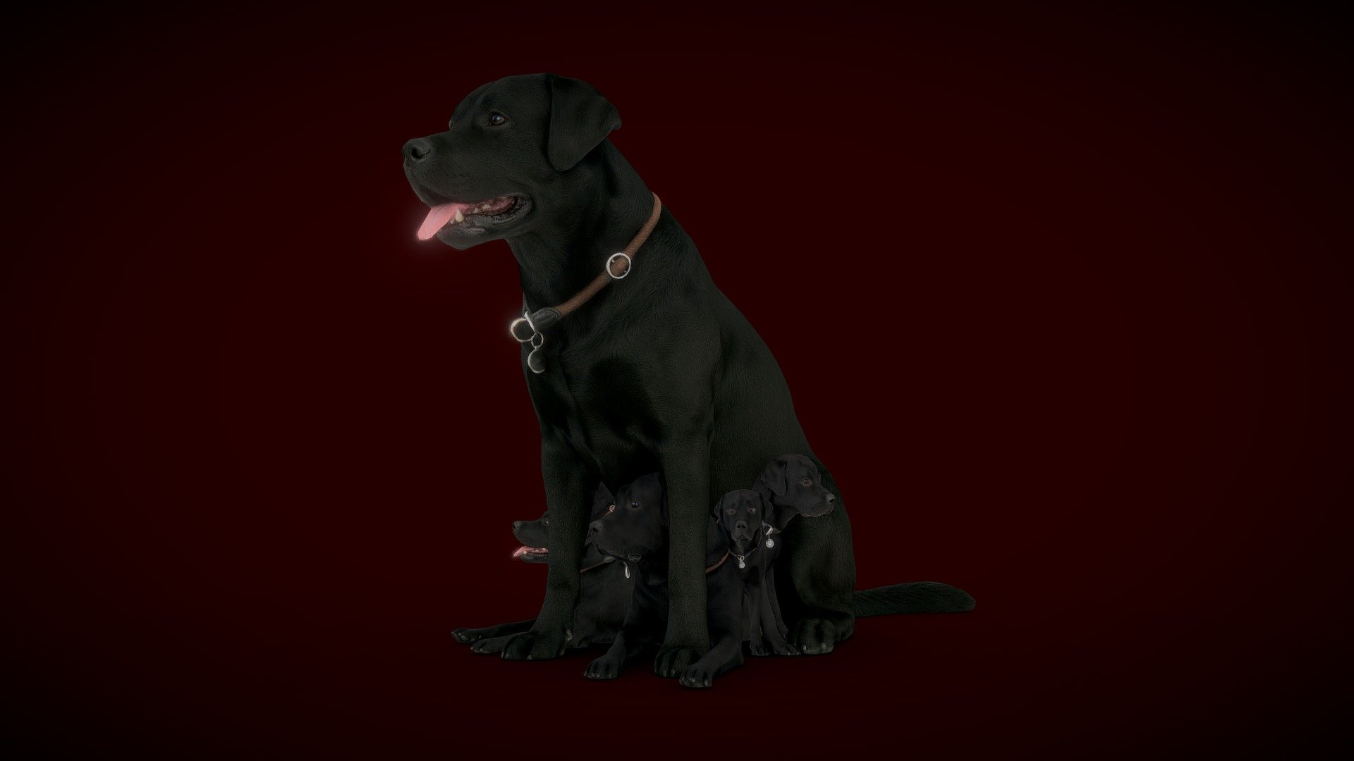 DOG_Antons - 3D model by Frank.Zwick (@Frank_Zwick) [9039a8b] - Sketchfab