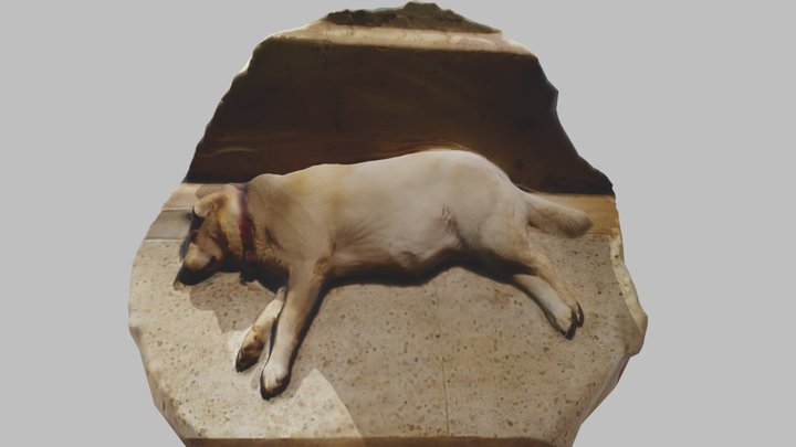Nata 3D models - Sketchfab
