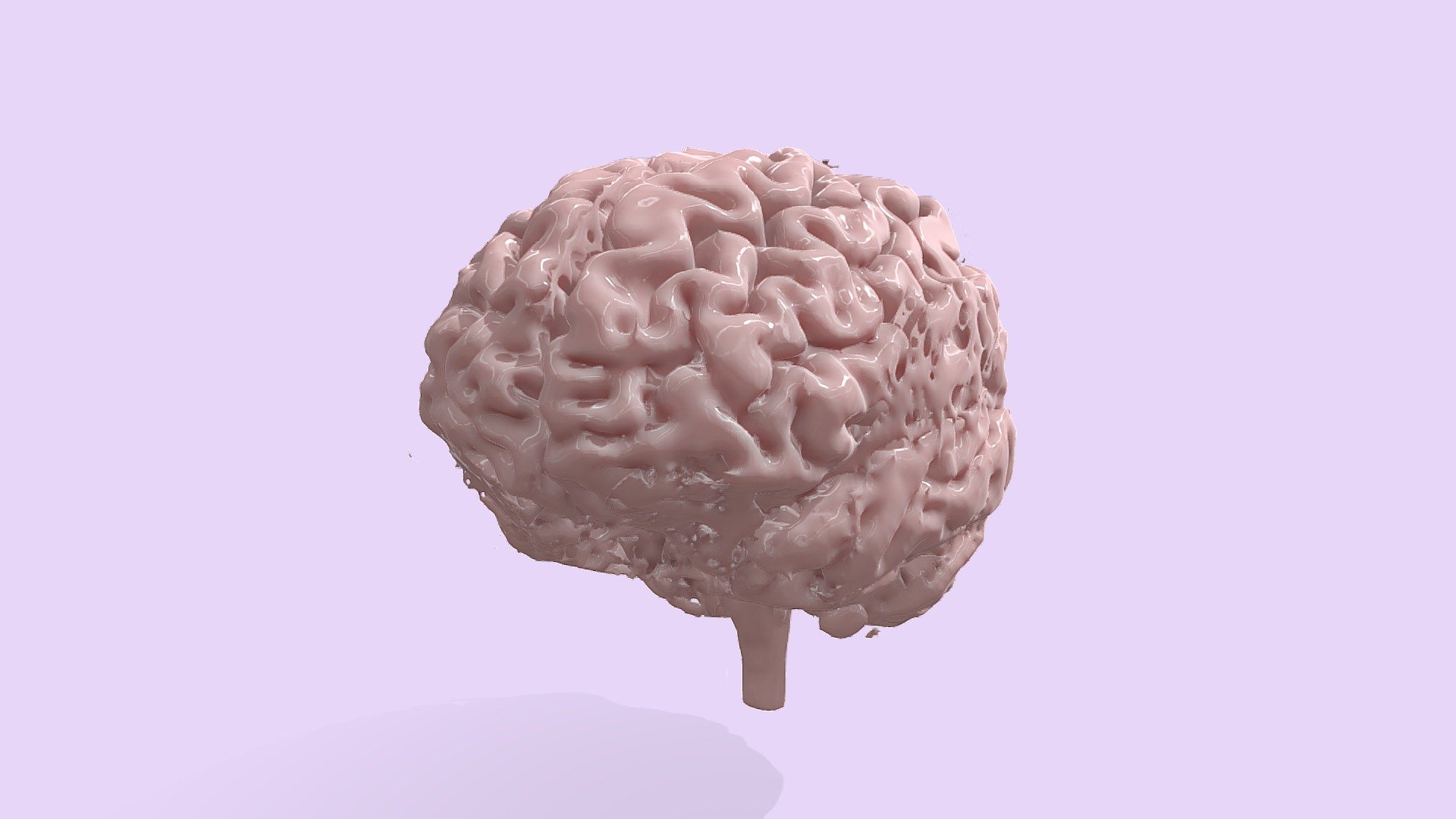 Segmentation of brain and brainstem - Download Free 3D model by ...