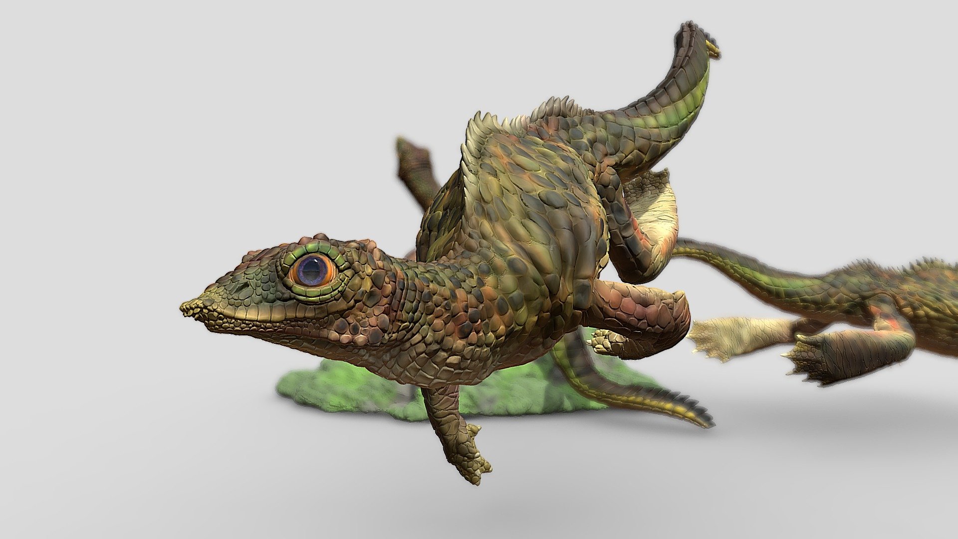 Some species that have never been suggested New species! - Page 30 ...
