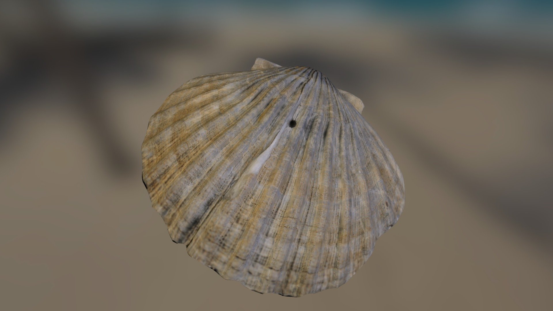 BIVALVE - 3D model by 3D Fossils (@conqueror78) [904613e] - Sketchfab