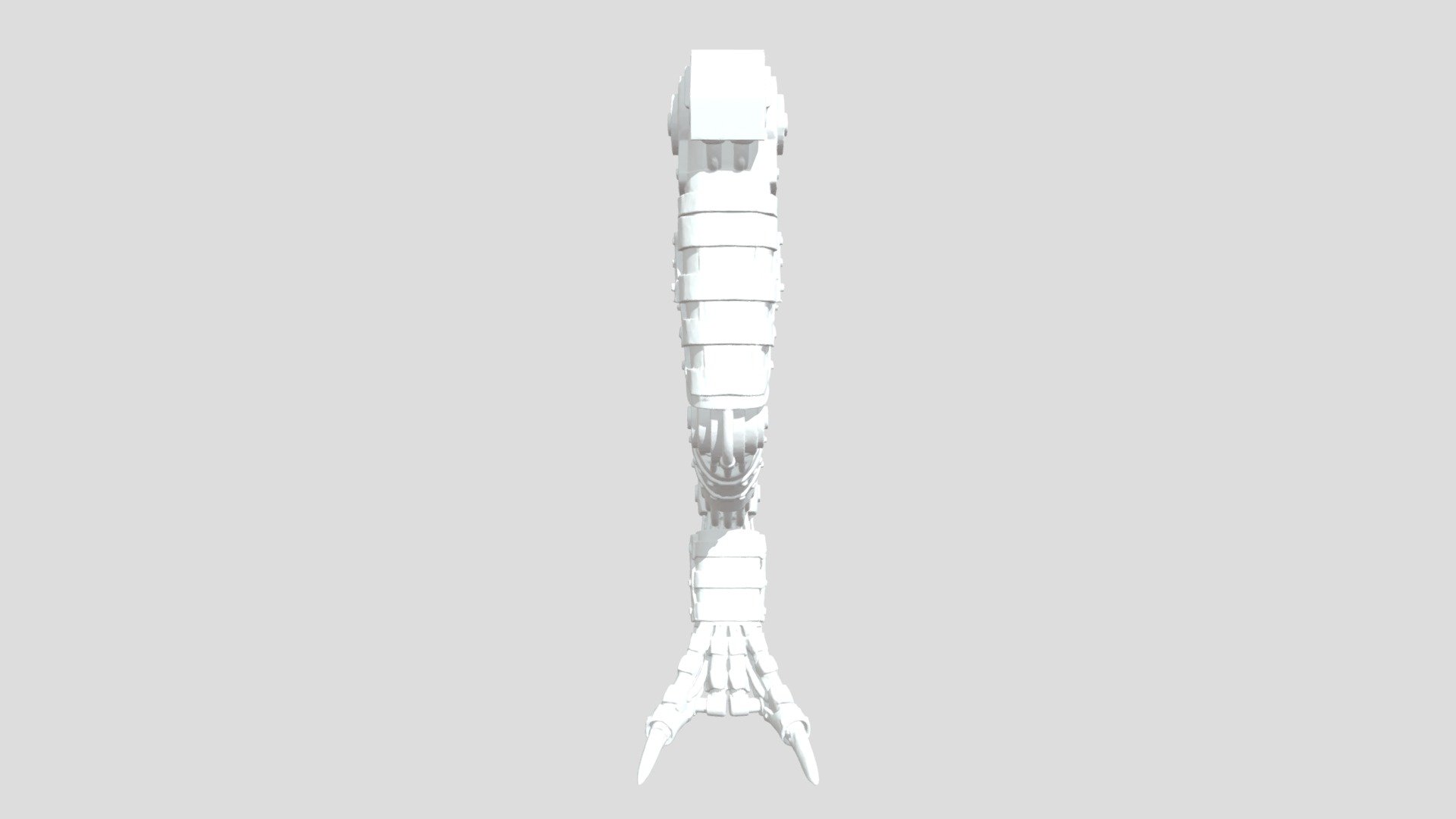 axolotl dragon leg - 3D model by Sigma2020220 [904b628] - Sketchfab