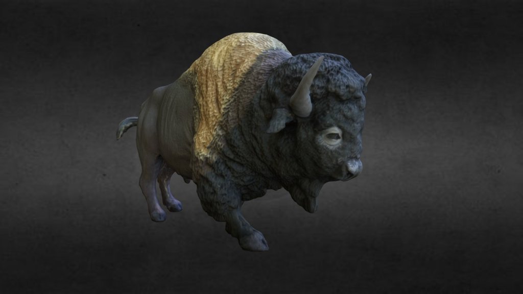 Bison - Download Free 3D model by misterdevious [904d048] - Sketchfab