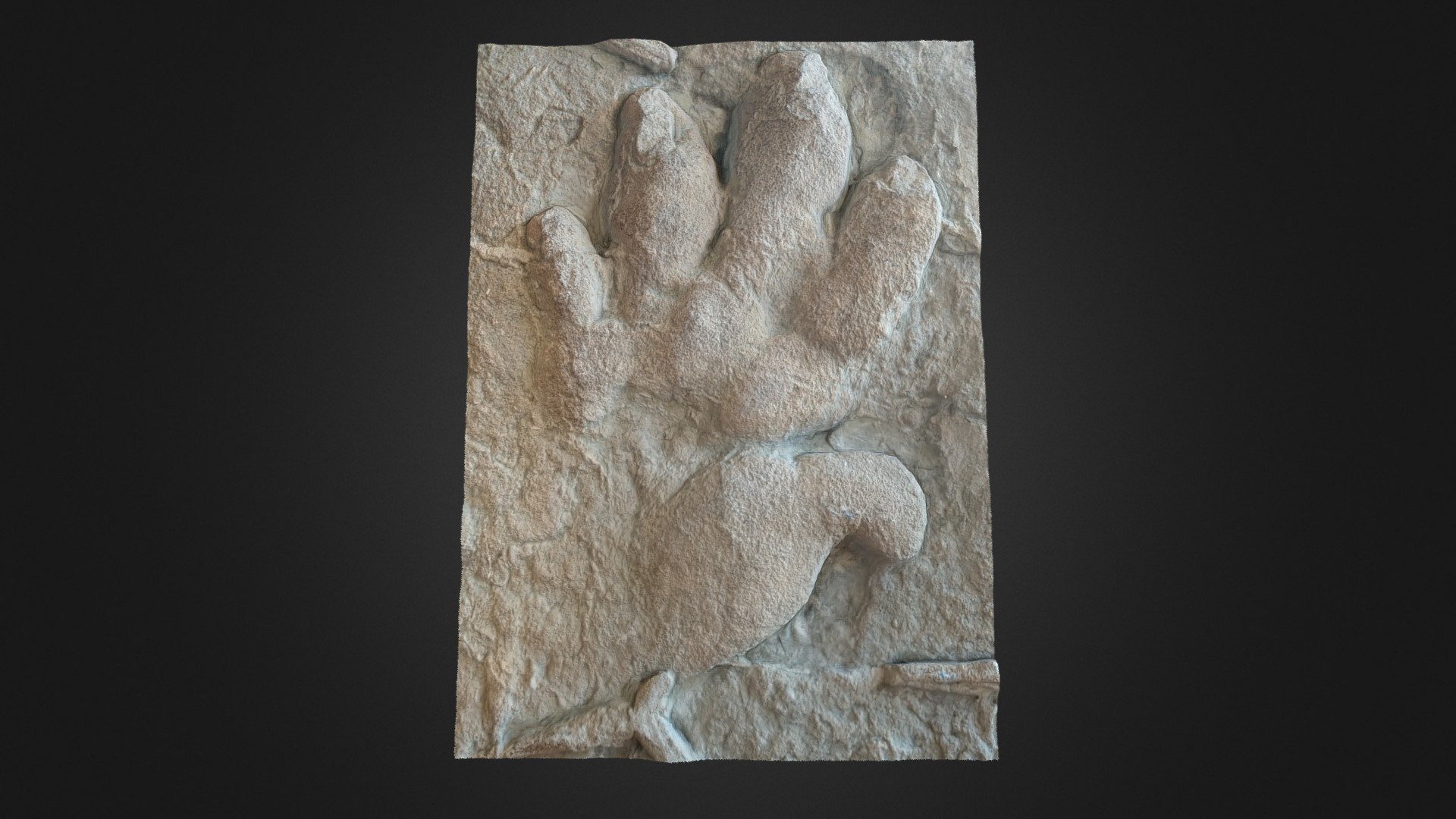 Fossil Chirotherium footprint - 3D model by Théobald GUFFON (@tguffon ...