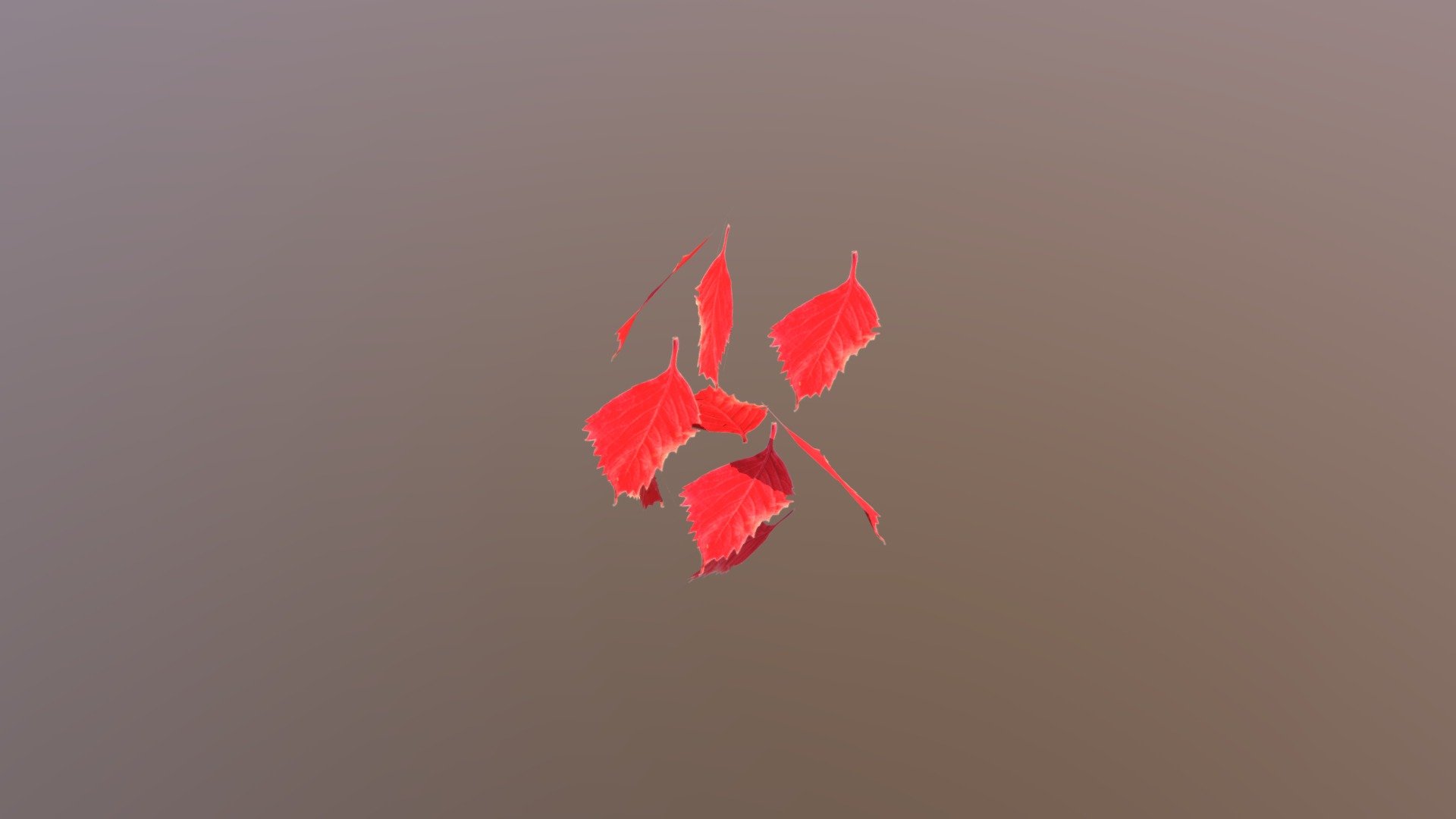 Daun - 3D model by zputra [9057815] - Sketchfab