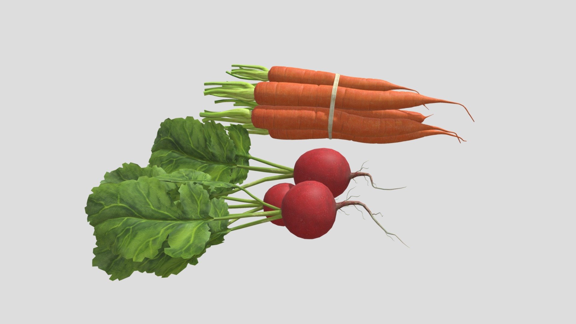 Radish - Download Free 3D model by 3Dji [905854e] - Sketchfab