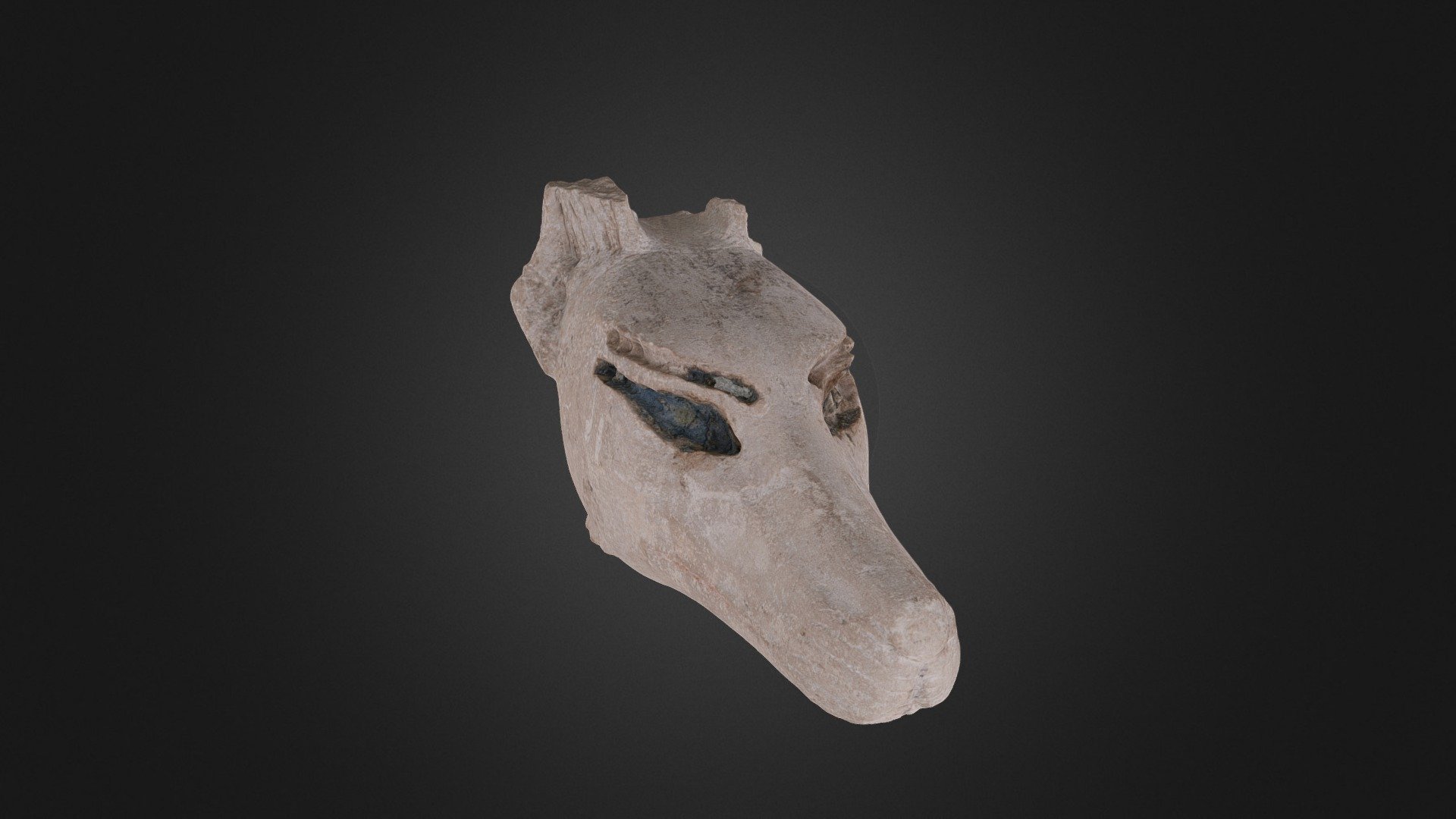 Jackal Head: Bolton Museum Collection - 3D model by Archaeology ...