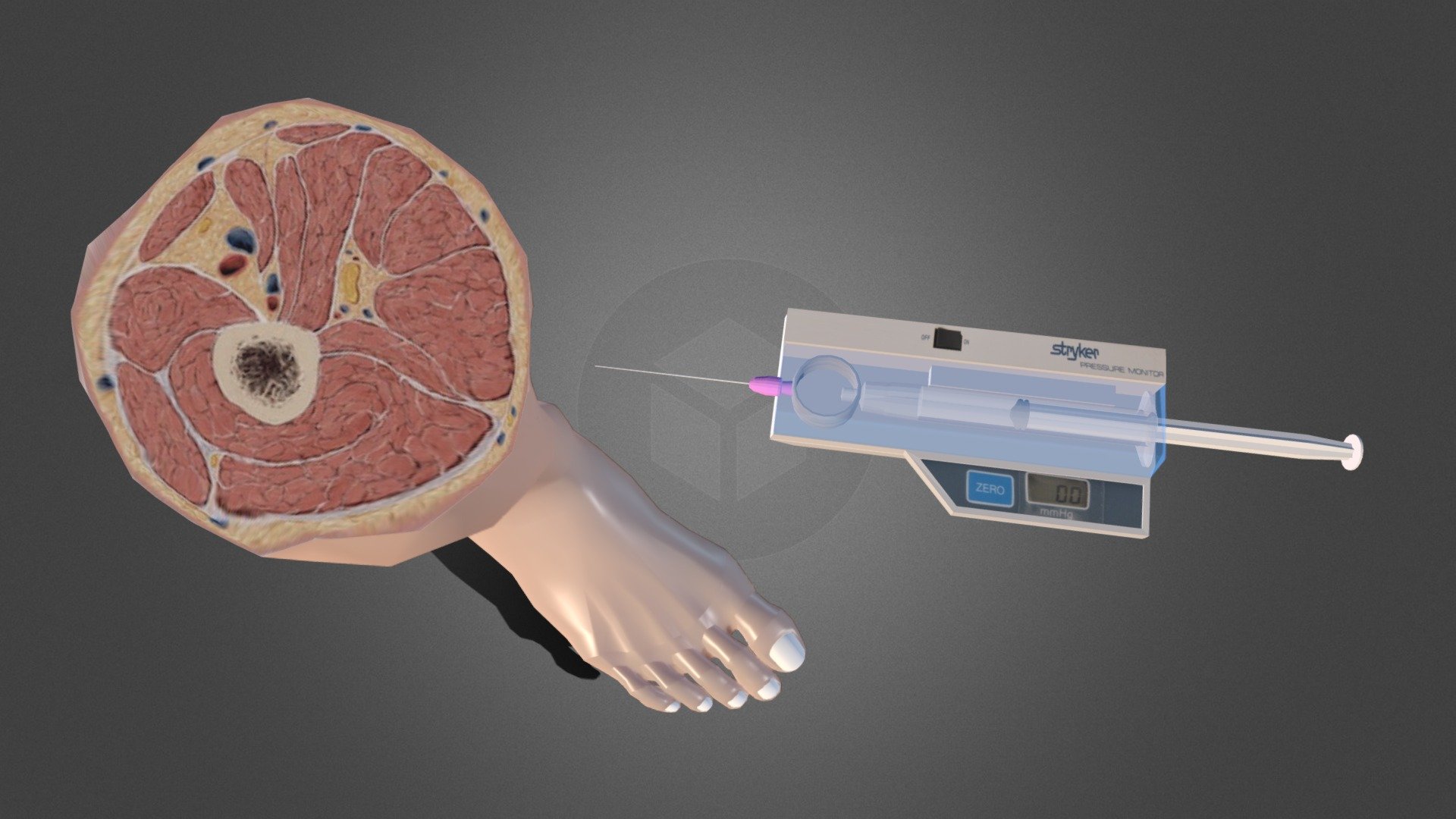 manometer Leg injection-cross-section - 3D model by International ...