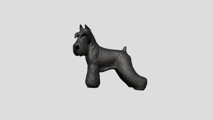 Schnauzer 3D models - Sketchfab