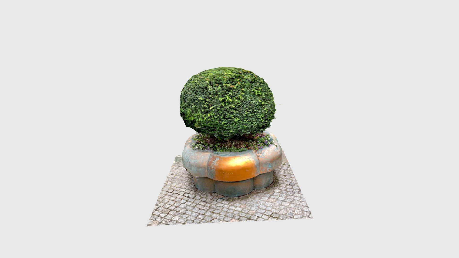 Bush - Download Free 3D model by benryder70 [9070372] - Sketchfab