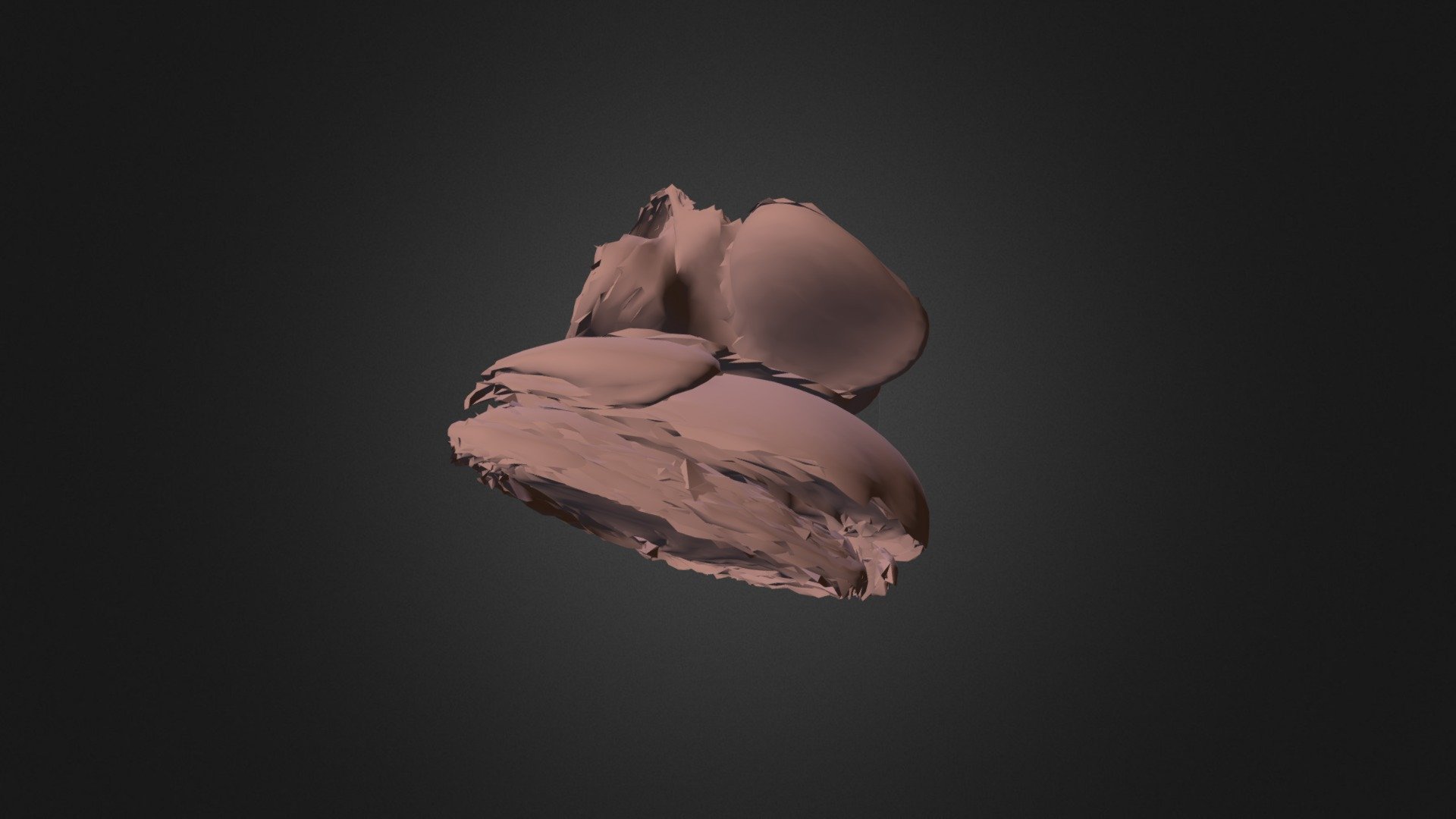 The fike - 3D model by dania [9073f24] - Sketchfab