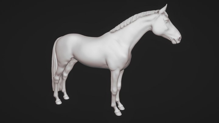Equine 3D models - Sketchfab