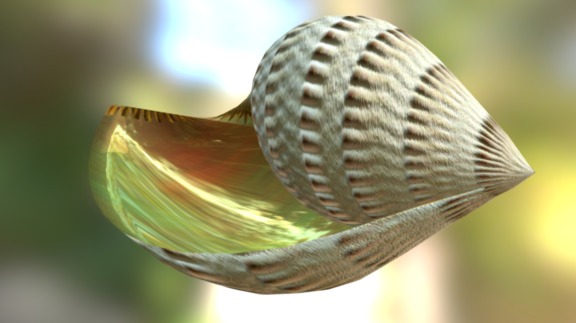 Shell - 3D model by Dragon_Ronin [908712c] - Sketchfab