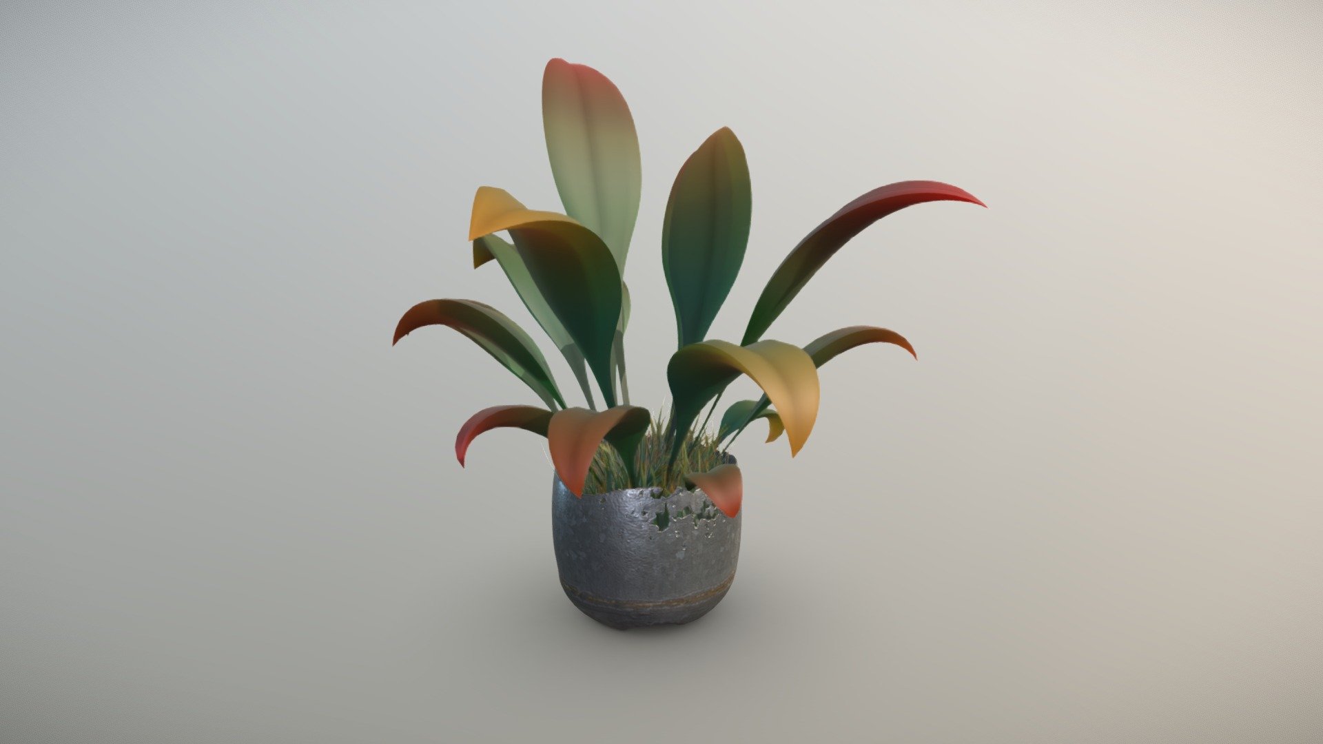 Stylized Pot Plant - Download Free 3D model by Hristo (@arabadzhiyski ...