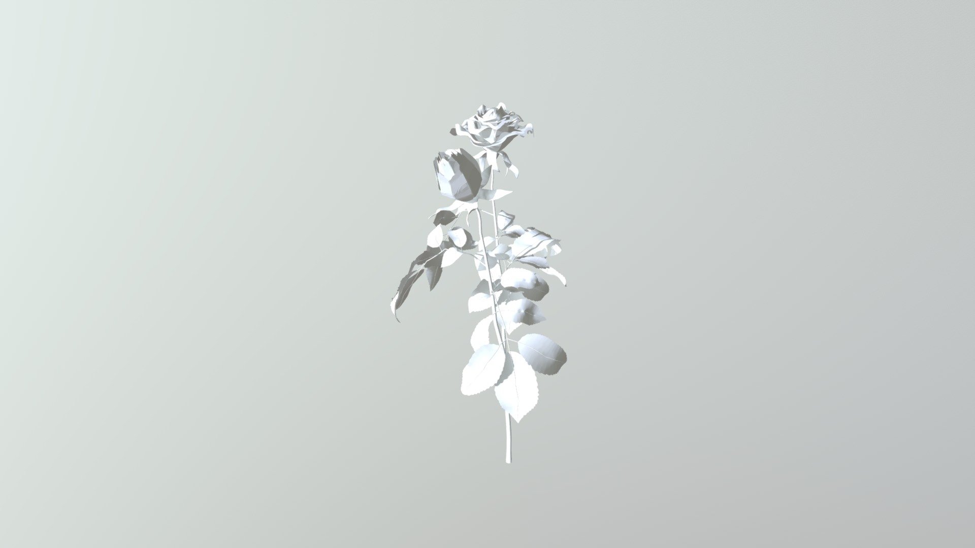 Roses - 3D model by kuprin1977 [9090467] - Sketchfab