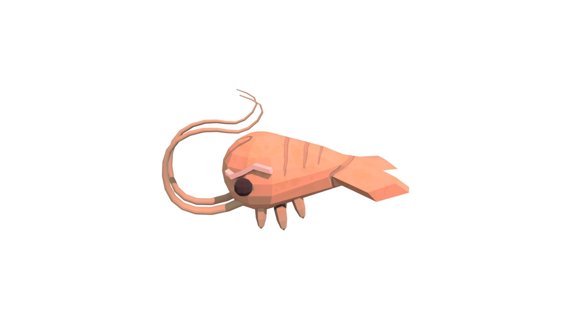 shrimpy - 3D model by neswaim [9093f66] - Sketchfab
