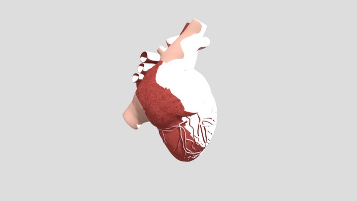 Heartbeat 3D models - Sketchfab