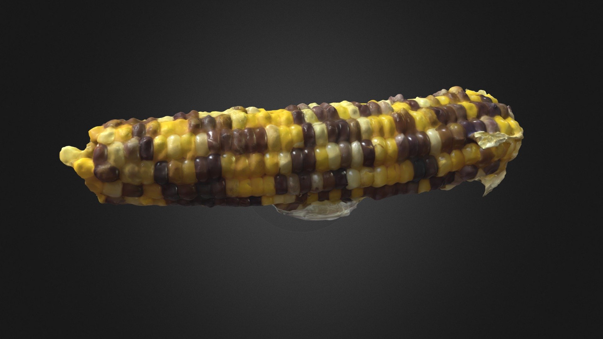 Corn_3 - Download Free 3D model by goigoi2580 [90af5d4] - Sketchfab