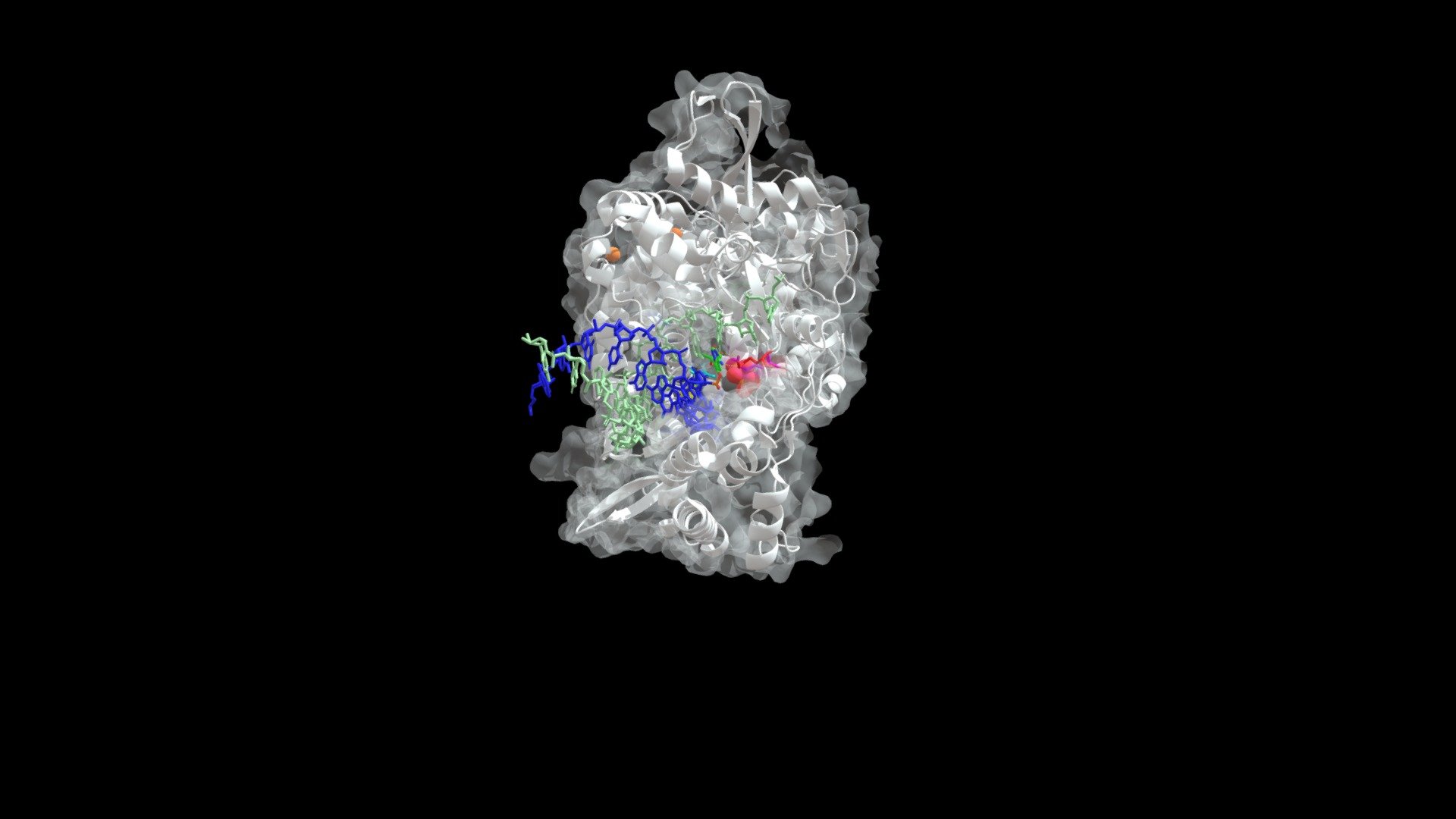 RdRp Enzyme And Remdesivir - 3D model by ramirejaym [90b1b25] - Sketchfab