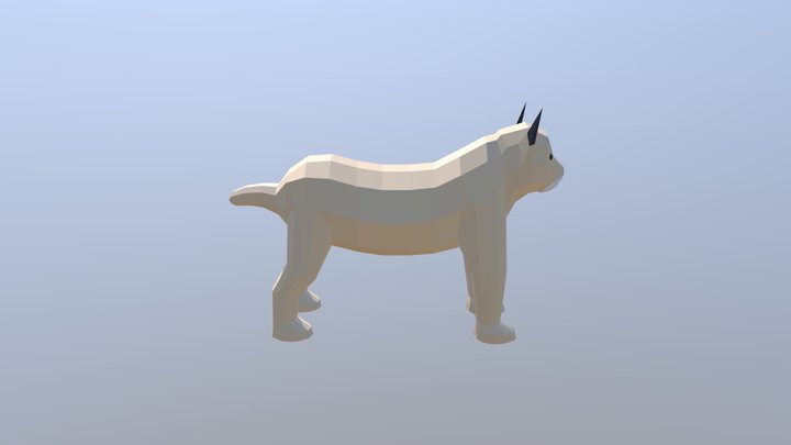 Lynx_wildcat 3D models - Sketchfab