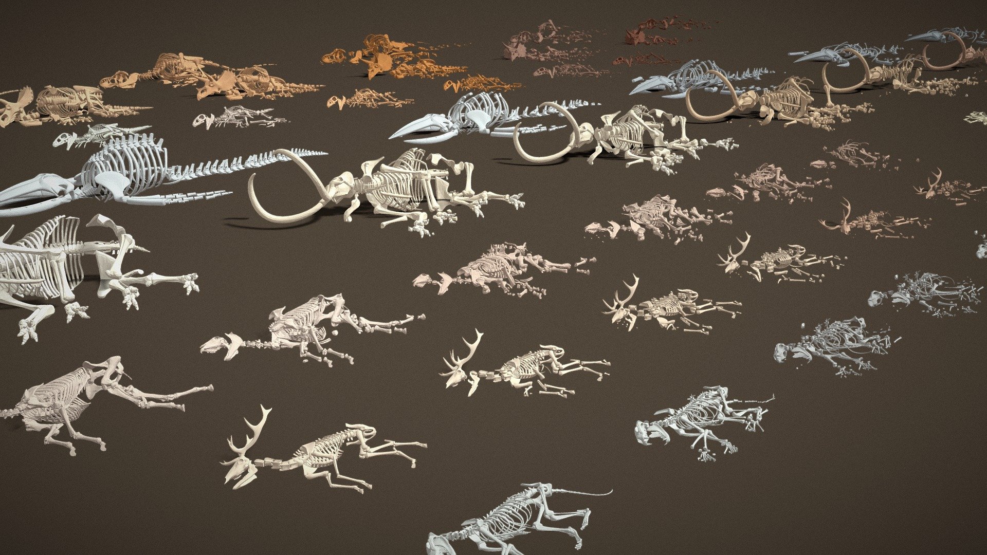 Props Pack - Animal Skeleton - 3D model by PolyOne Studio (@polyone ...