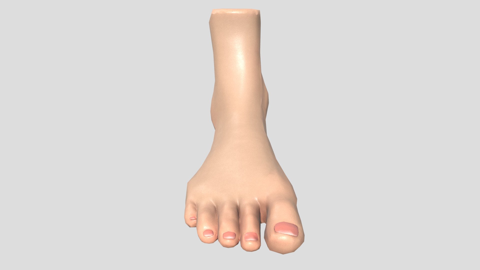 Foot - 3D model by smian [90b75be] - Sketchfab