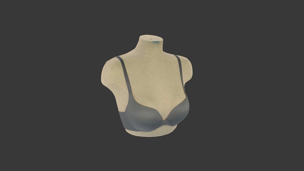 Bra1-Normal2K - Download Free 3D model by Aerial 3D360 (@aerial3d360 ...