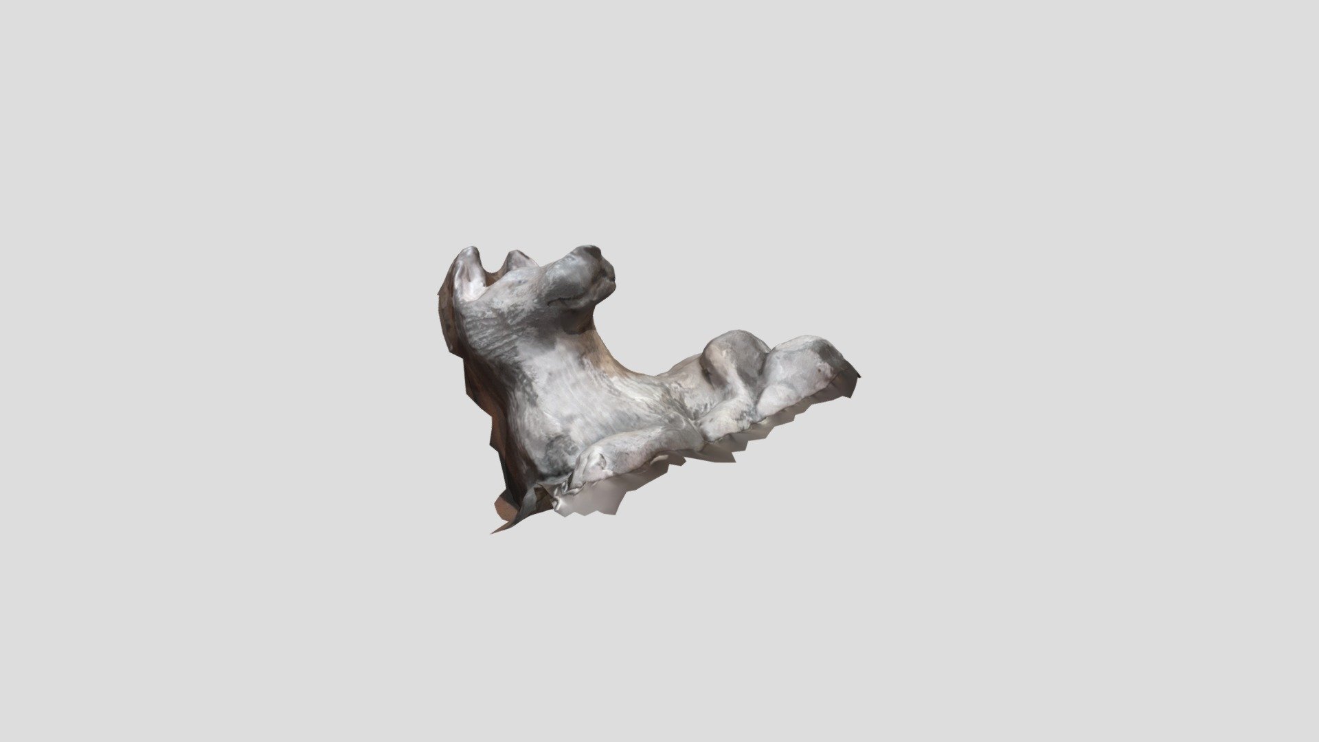 3D scan of a clay wolf(very bad) - Download Free 3D model by ave ...