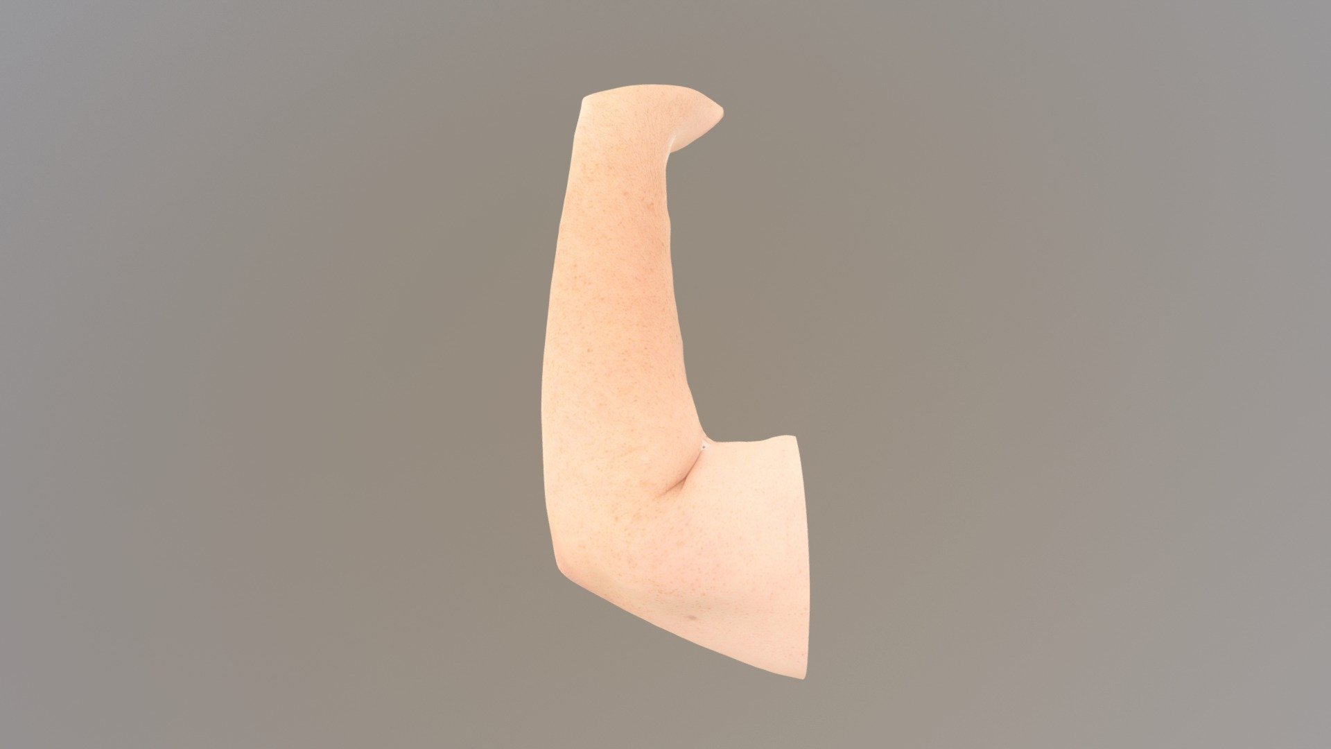 Arm - Download Free 3D model by Marc Olano (@olanom) [90cc7de] - Sketchfab