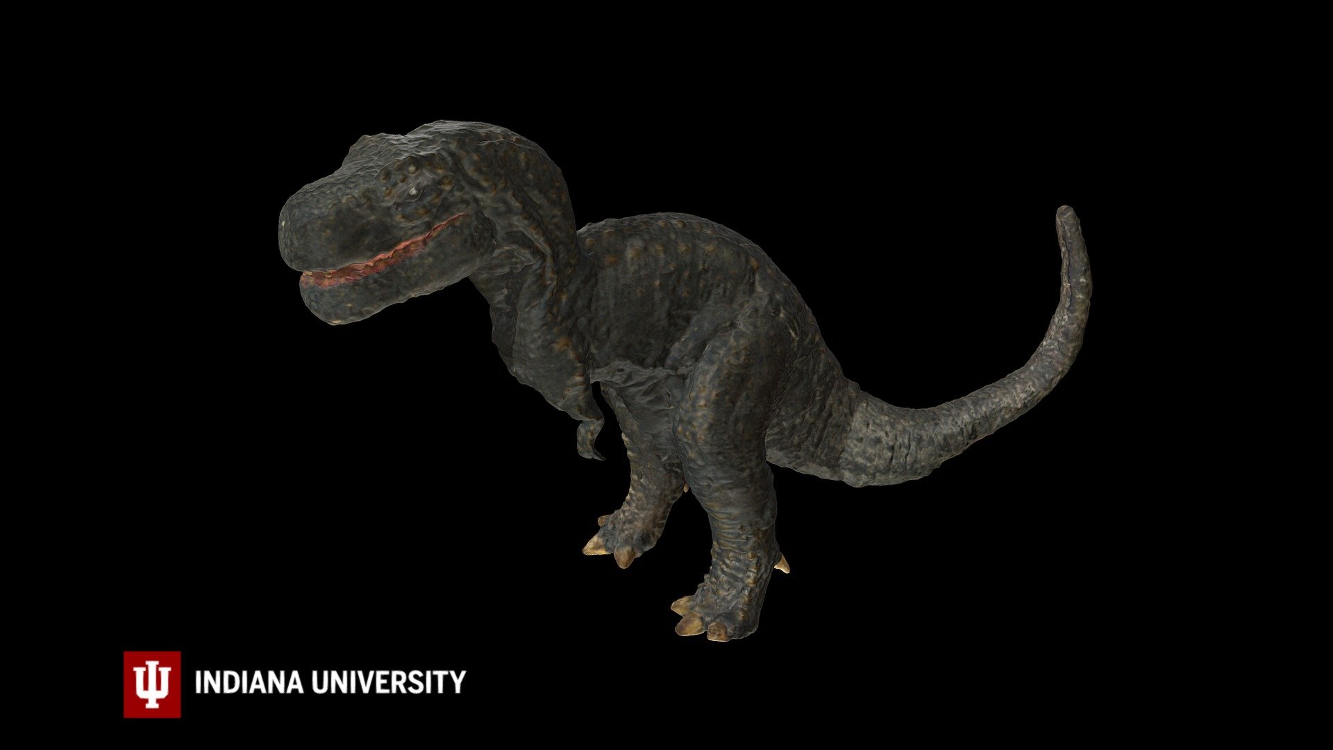 T-Rex Toy - 3D model by Connections XR (@connectionsxr) [90cfb82 ...