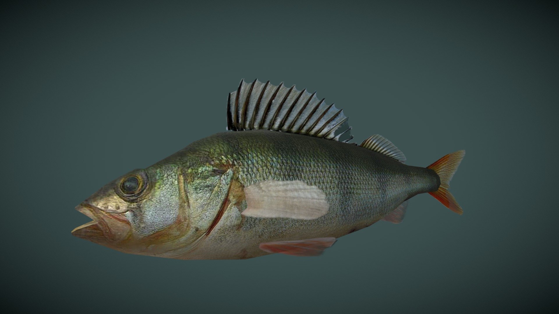 Perch - 3D model by NewViStudios [90d2c0e] - Sketchfab