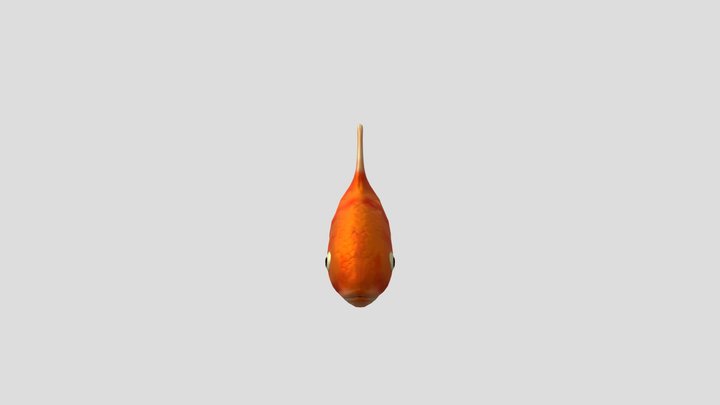 Fisch 3D models - Sketchfab