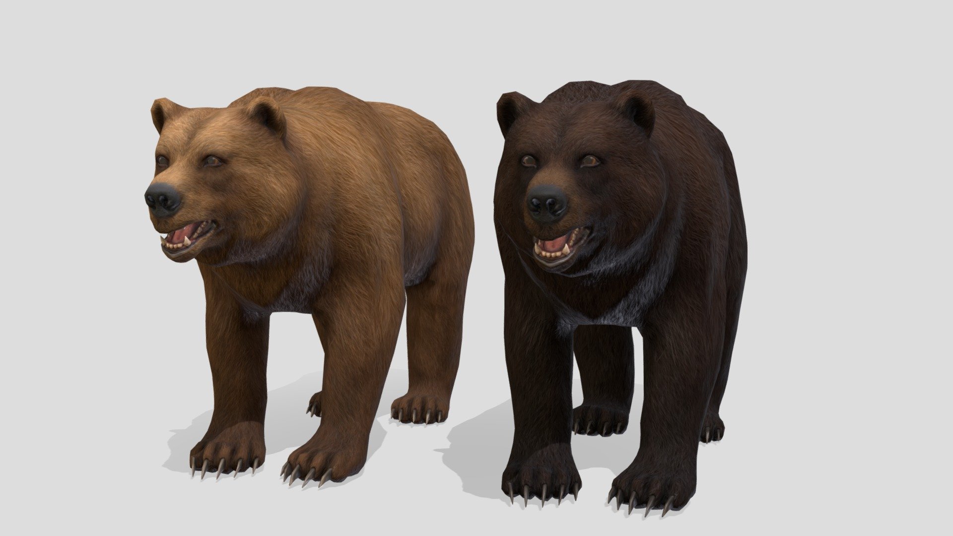 Bear colors - 3D model by RedDeer (@billl90) [90dc075] - Sketchfab