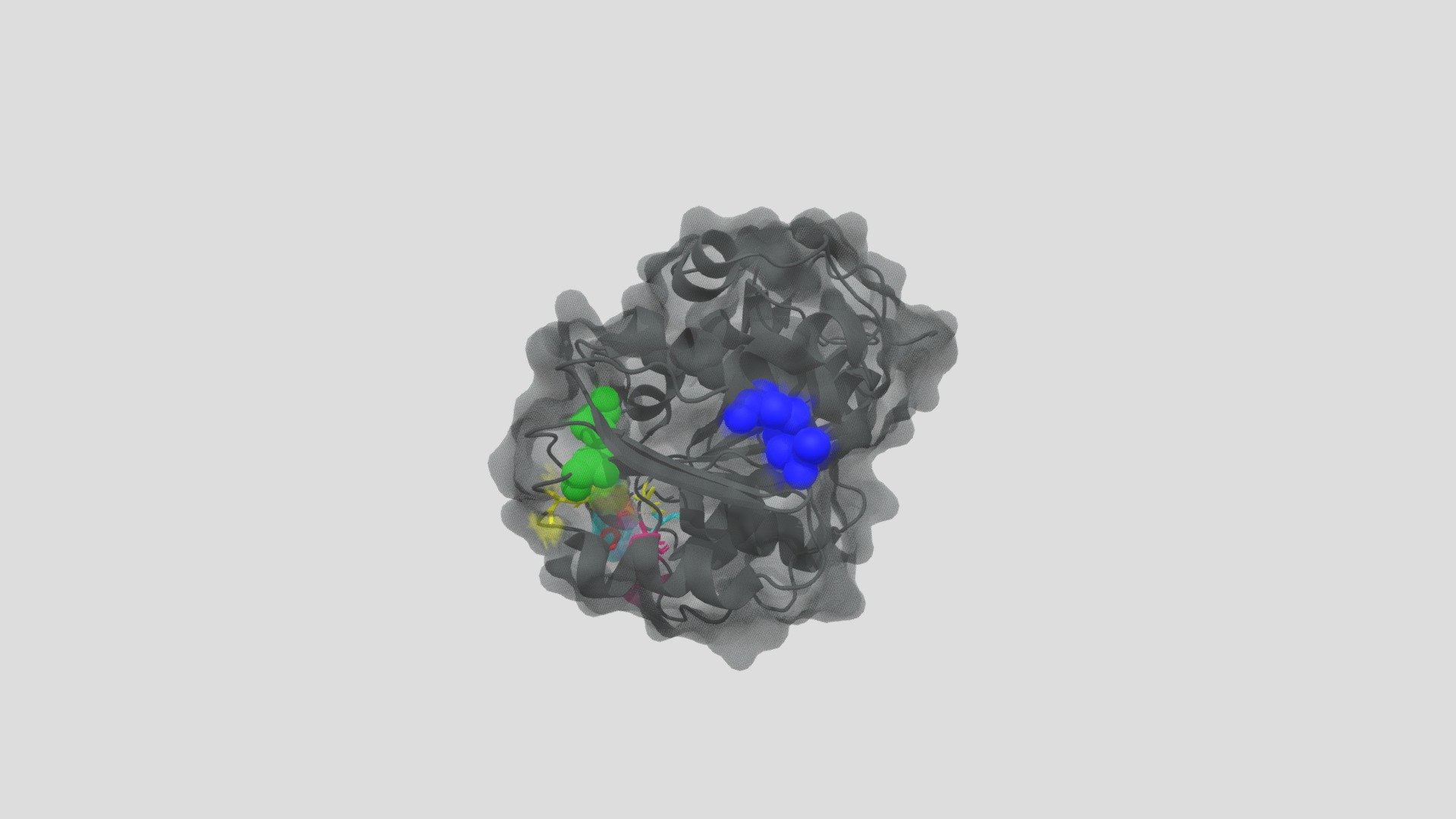 PETase Pymol - 3D model by Kate Newton (@newtonkate) [90dcc35] - Sketchfab