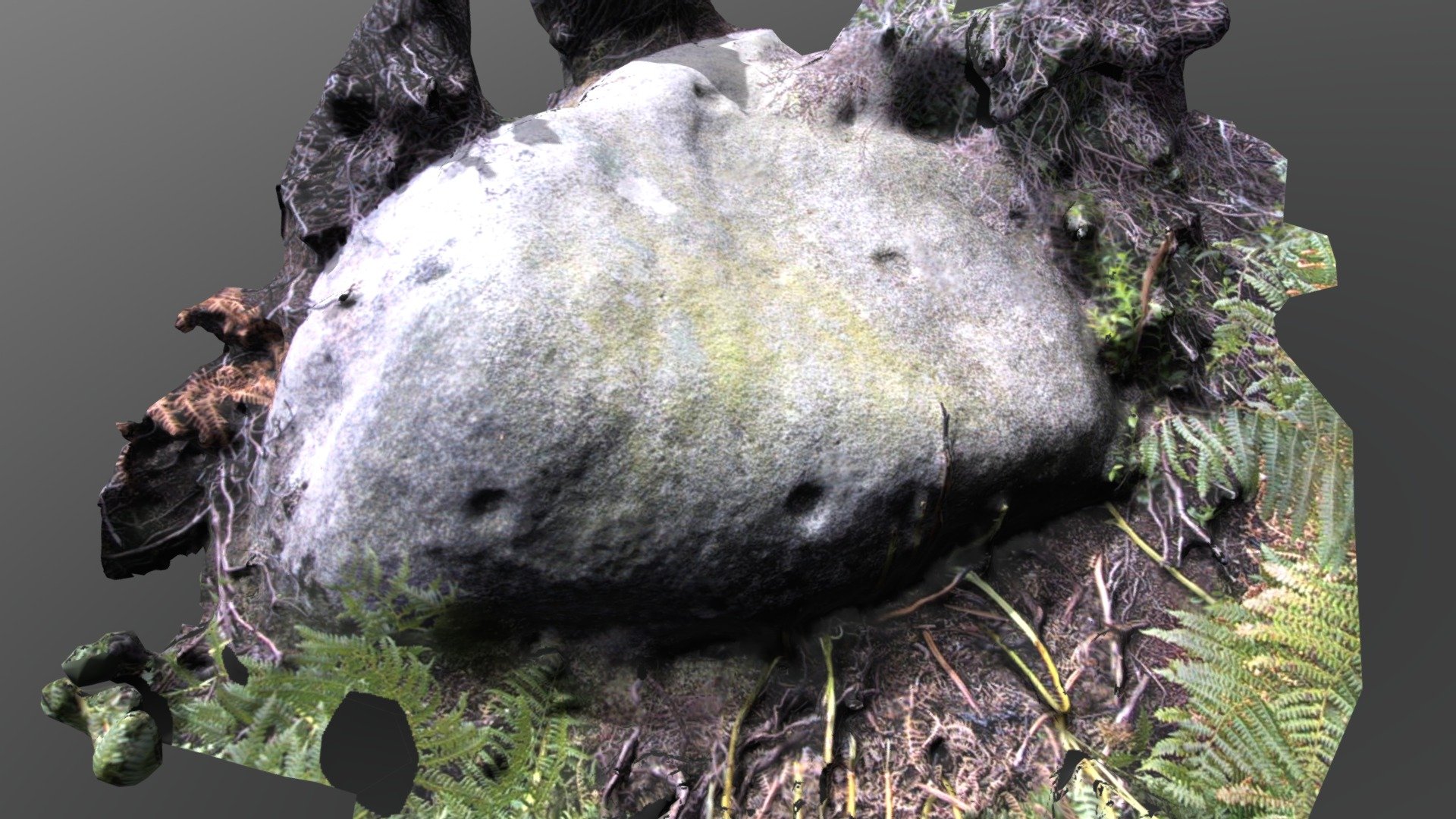 Middleton Moor (IAG 500) - Download Free 3D model by England's Rock Art ...