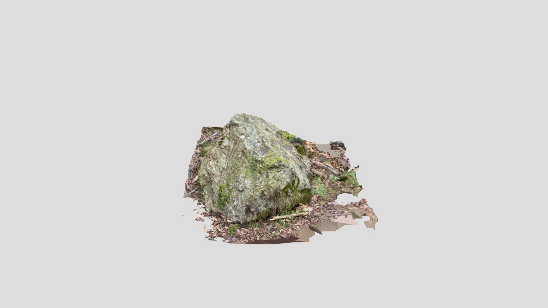Large Forest Boulder - Download Free 3D model by fifthepoch [90e9677 ...