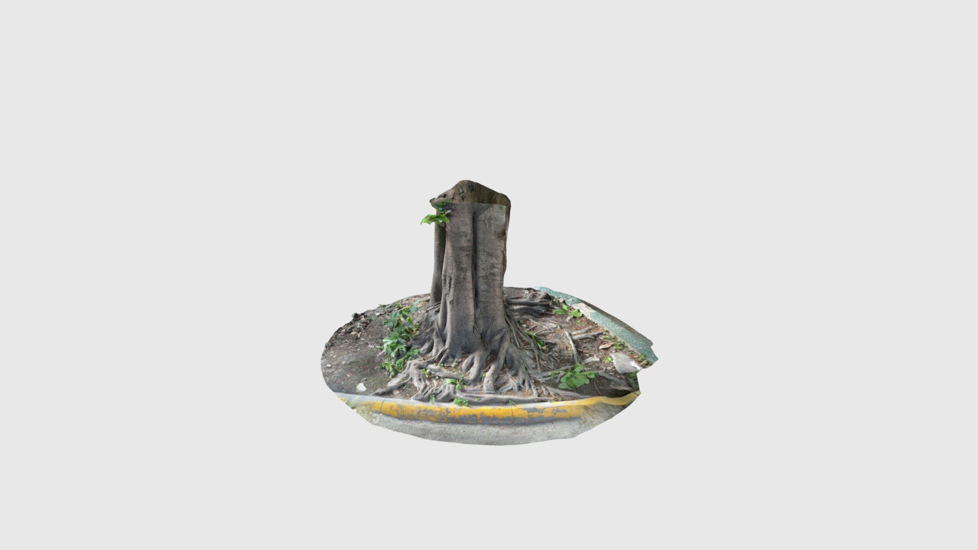 Tree root - Download Free 3D model by Ye Hang (@YeHang) [90ebbd8 ...