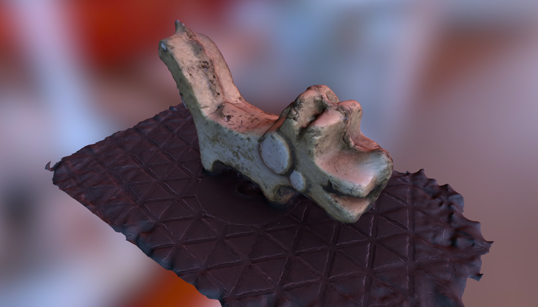 Dog Photoscan - 3D model by sczimmerman [90fb412] - Sketchfab