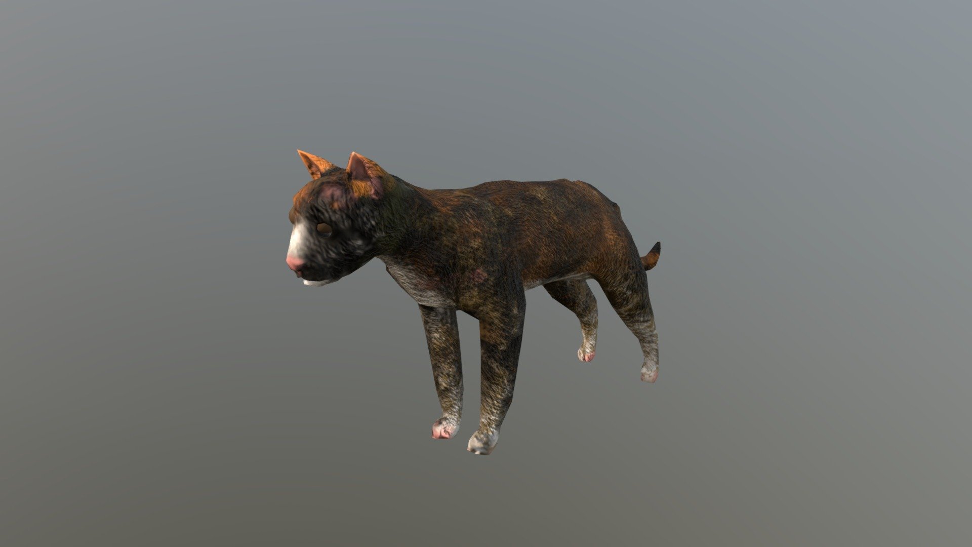 gato - 3D model by Belen.Bustos.Painen [90fe0f9] - Sketchfab