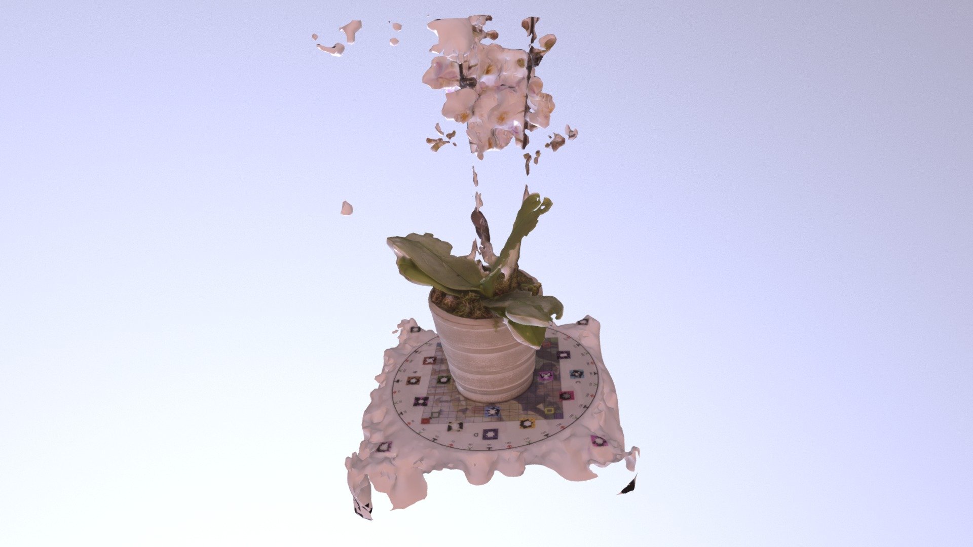 Flower - 3D model by unit7soaneproject [9105674] - Sketchfab