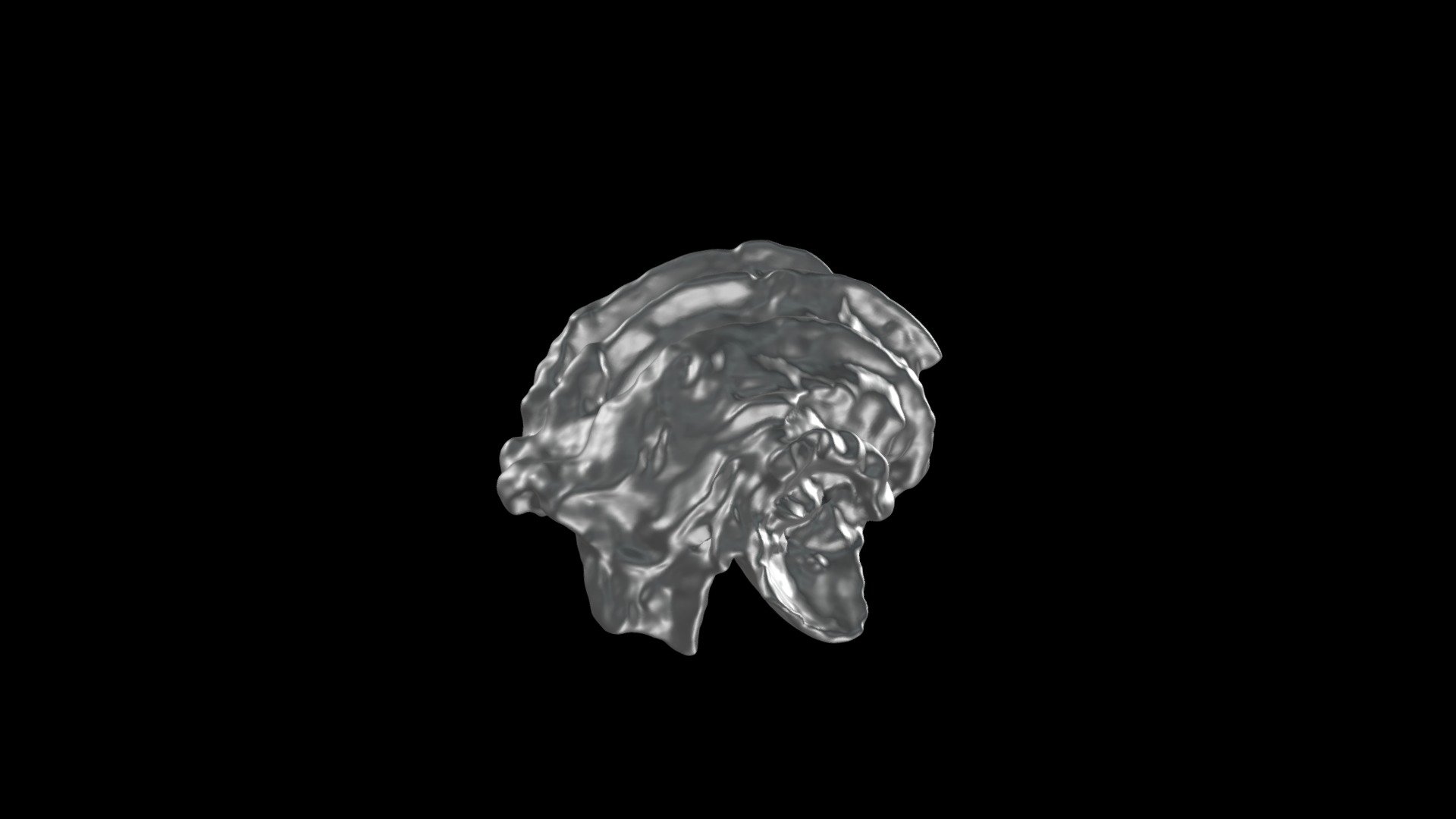 Ecphora quadricostata - Download Free 3D model by WesternScienceCenter ...
