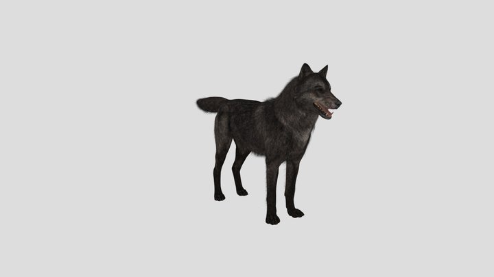 Ghosts_wolf 3D models - Sketchfab