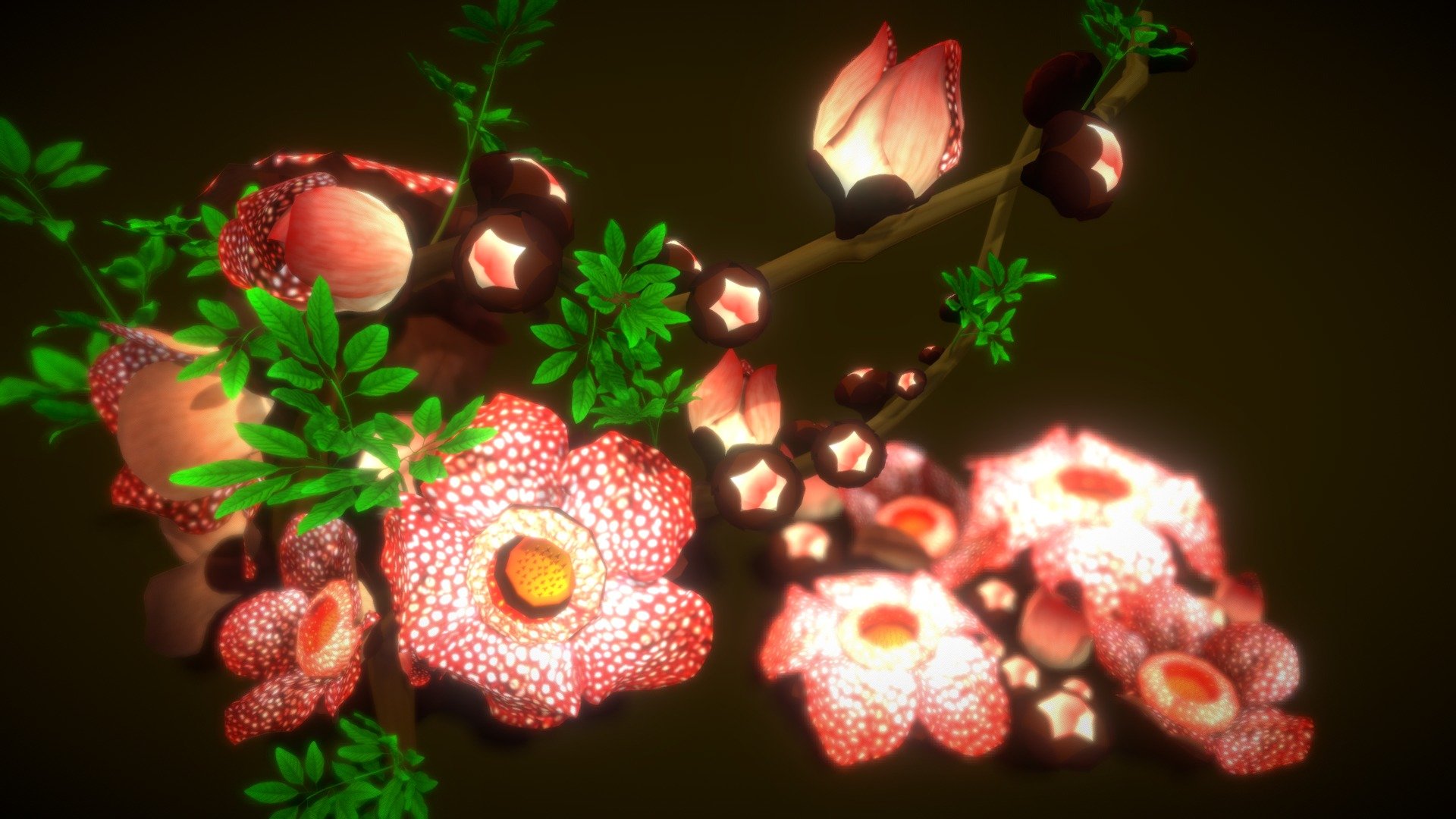 Flower_Rafflesia arnoldii - Buy Royalty Free 3D model by vustudios ...