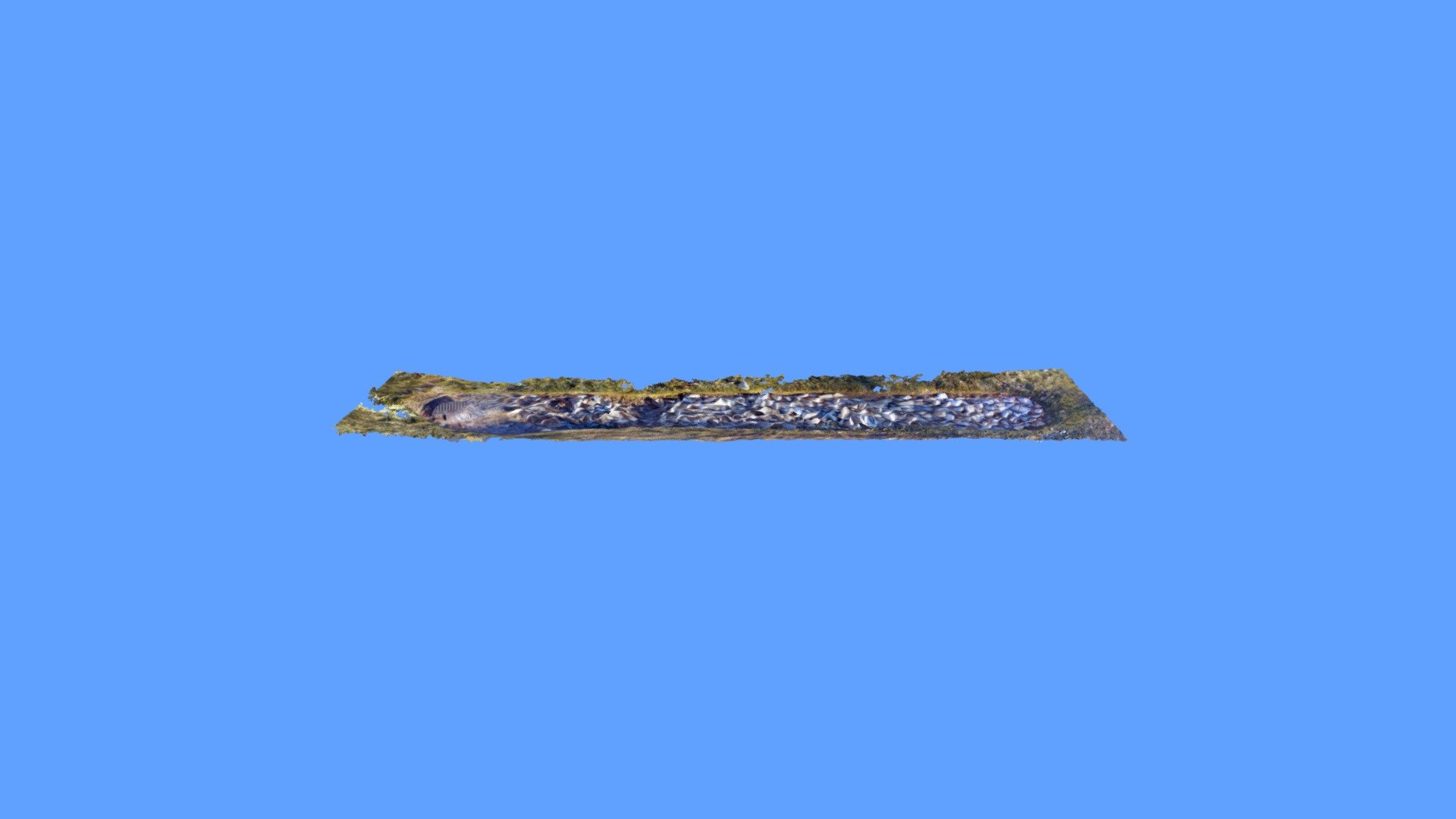 Rock Pit Scan - Download Free 3D model by Zi7ar21 [91185b2] - Sketchfab